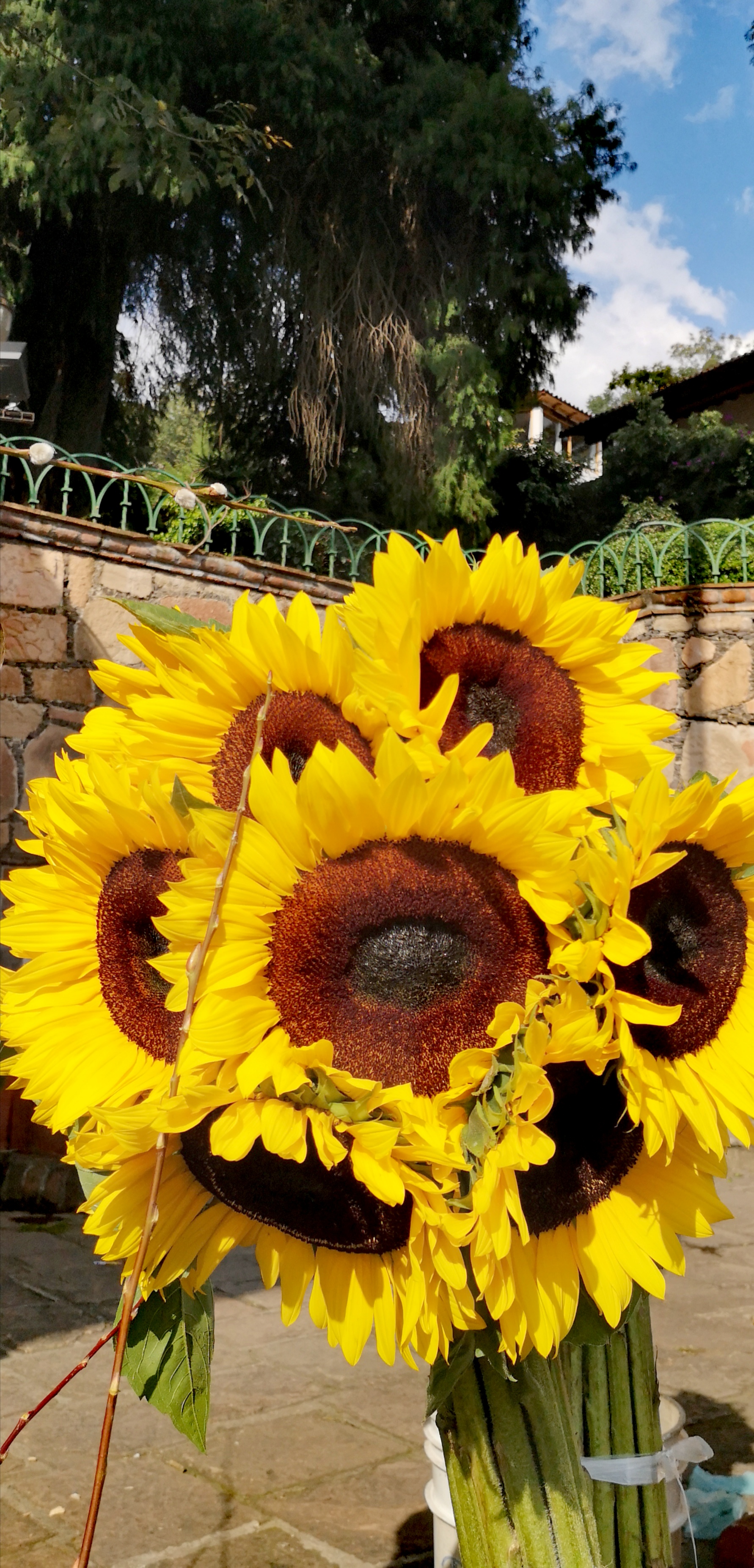 Toluca, Metepec & Valle de Bravo – Kat's Steps